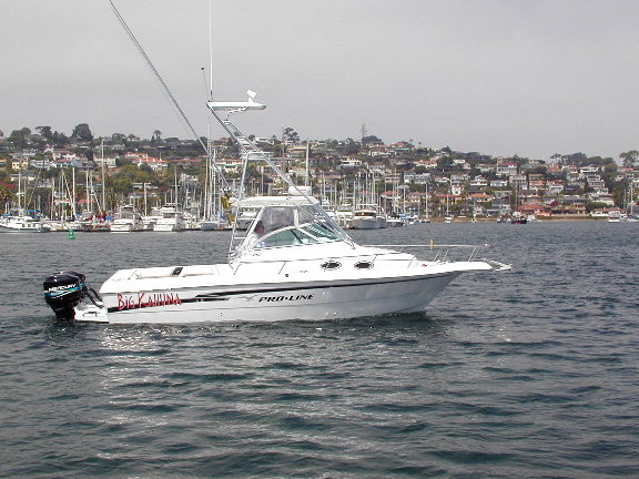 1999 Pro Line 251